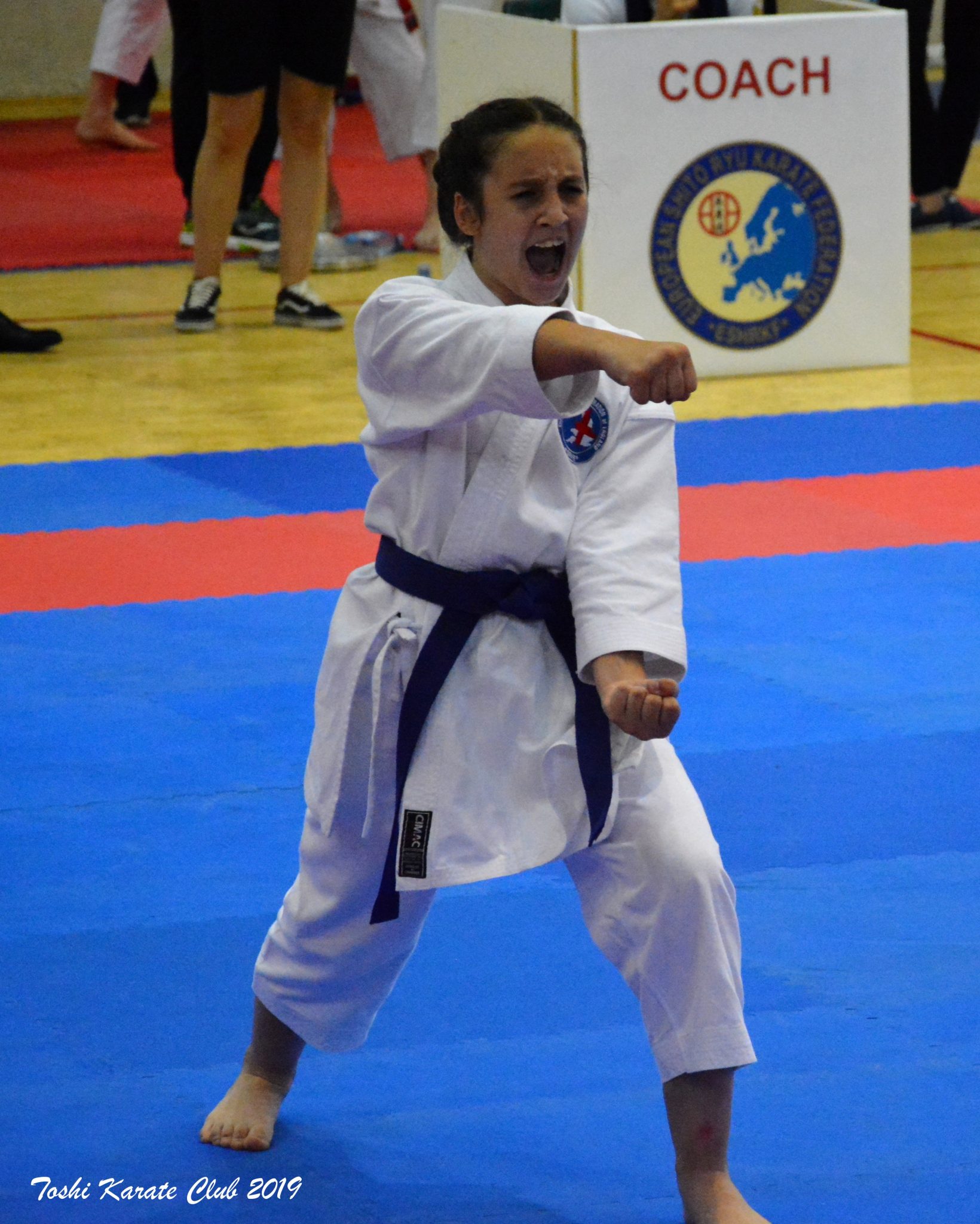 7th European Shito Ryu Karate Federation Championships- Romania